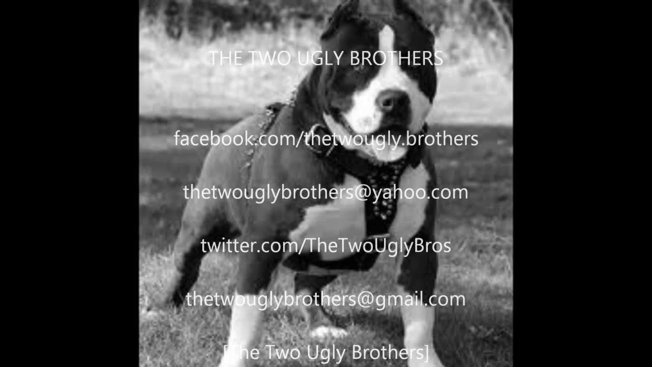 The Two Ugly Brothers - YouTube