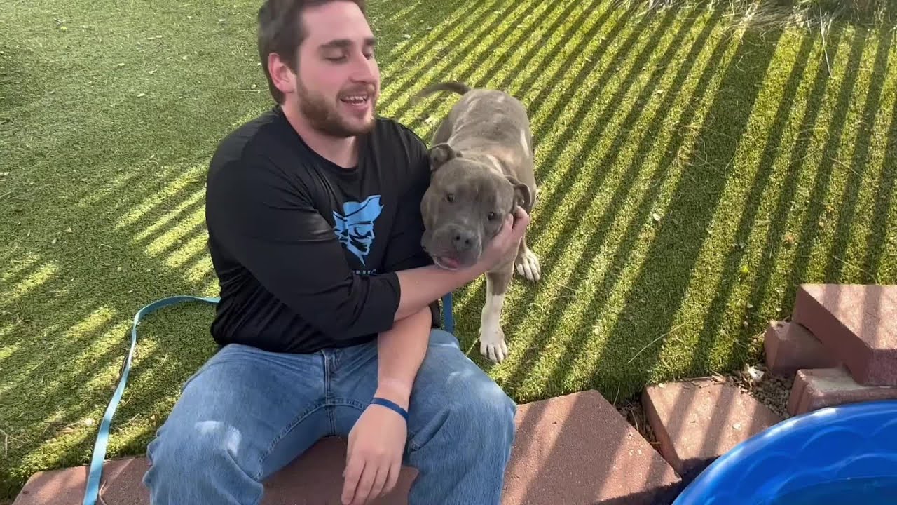 Eden, the Nebraska Humane Society's pet of the week, is looking for a ...
