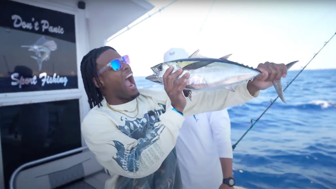 irl stream in Miami🐬 - YouTube