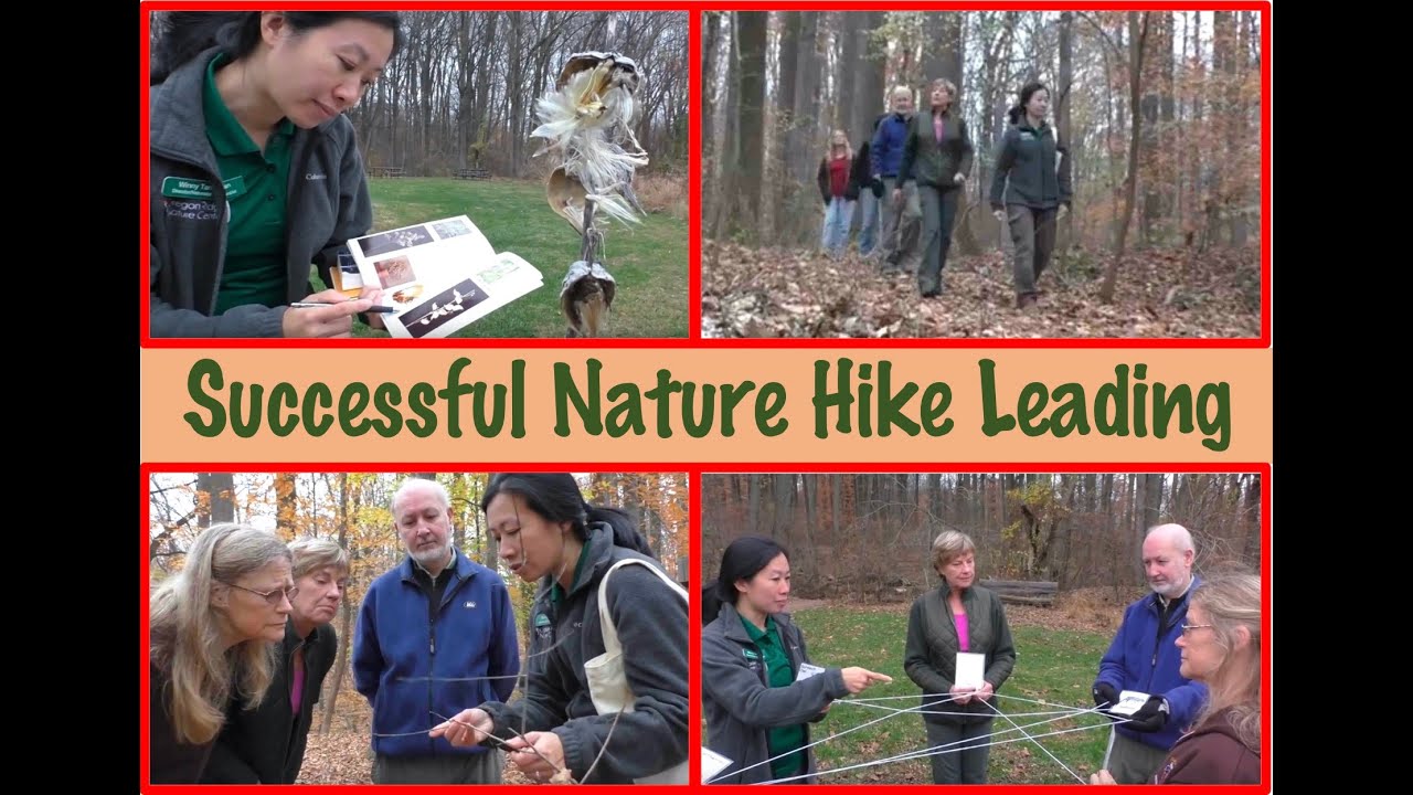 Successful Nature Hike Leading - YouTube