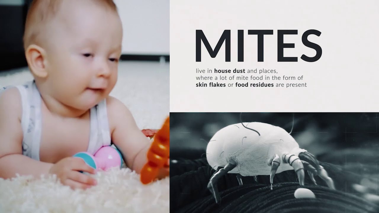 A normal day in everybody’s home around the world.. - YouTube