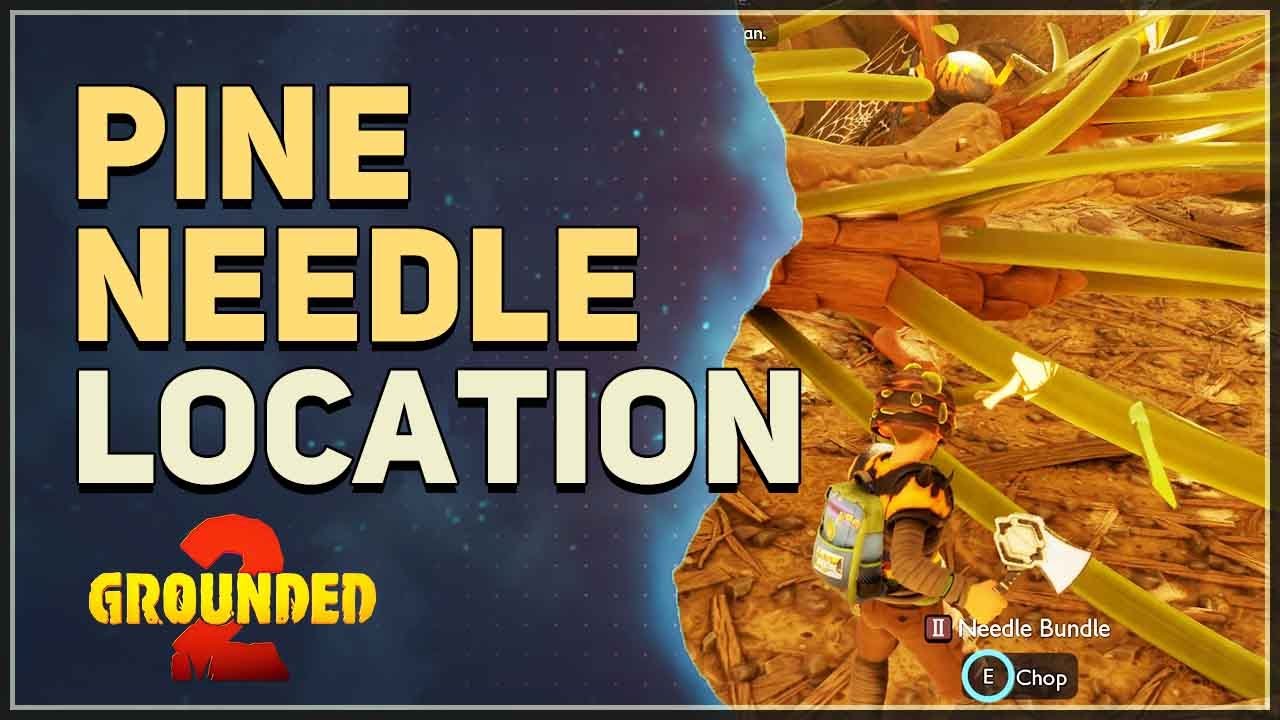 Pine Needle Location Grounded 2 - YouTube