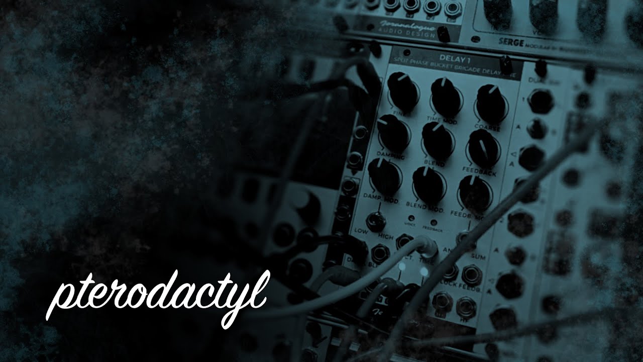 PTERODACTYL / Joranalogue Audio Design DELAY 1 / karplus strong sound ...