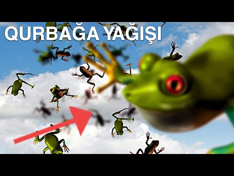 Yagış yagarkən göydən düşən 10 anormal hadisələr.