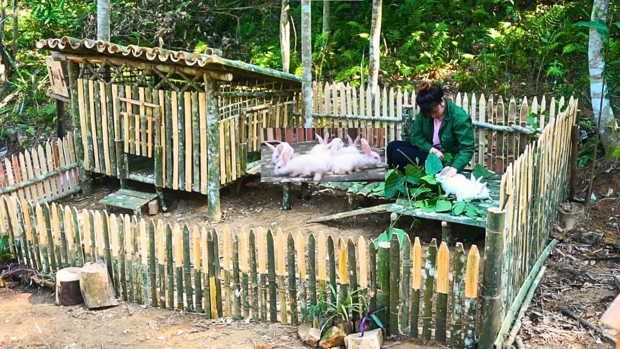 How to make a complete rabbit cage and play area for rabbits - Green ...
