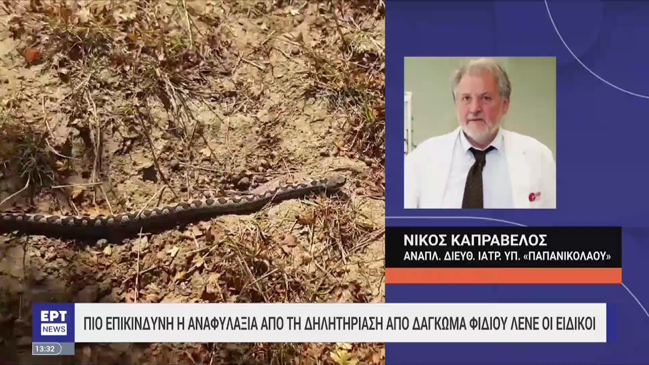 Θεσσαλονίκη: Βελτιωμένη η κατάσταση της 43χρονης που δαγκώθηκε από οχιά ...