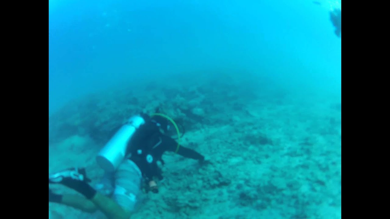 Huge conch shell in Honolulu Hawaii at Pipe Deep dive site - YouTube