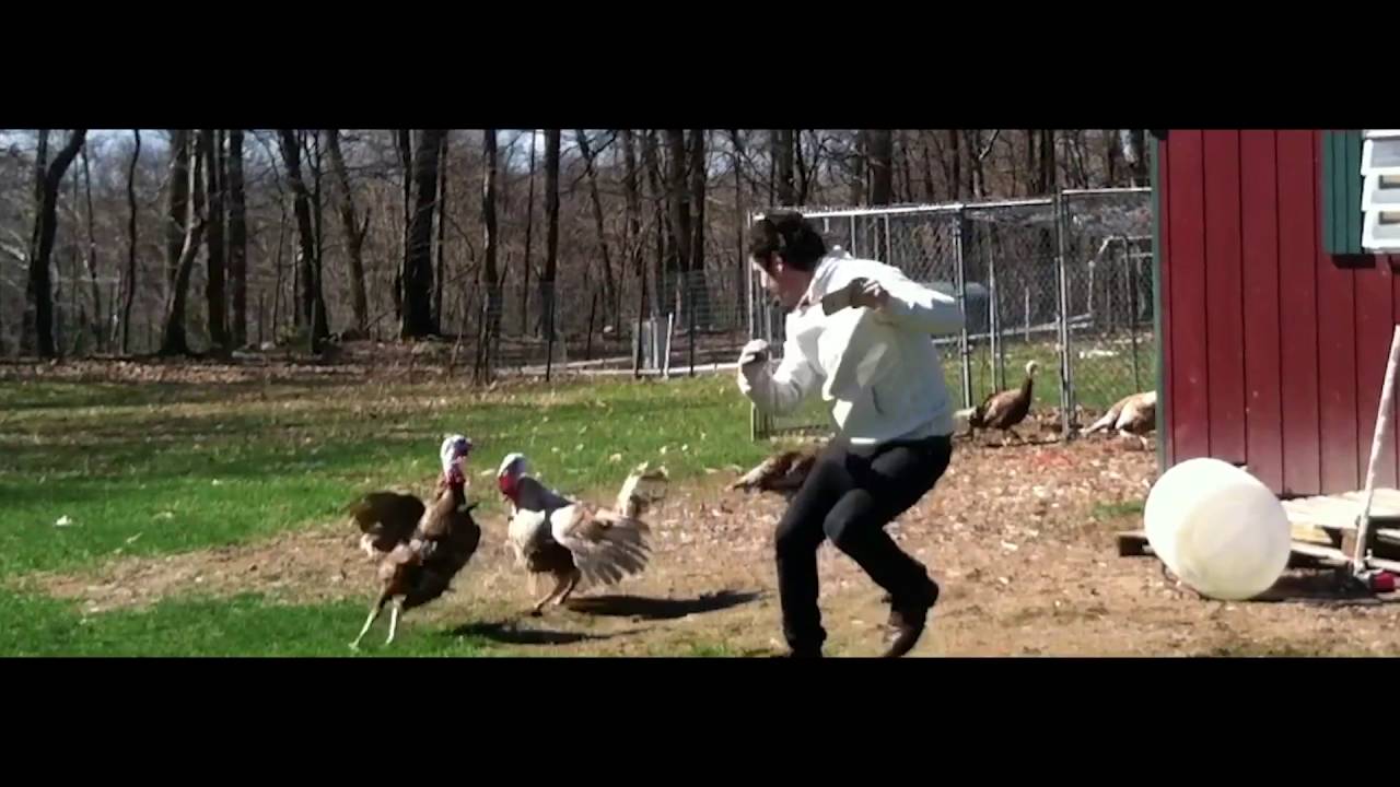 Mr Average - YouTube