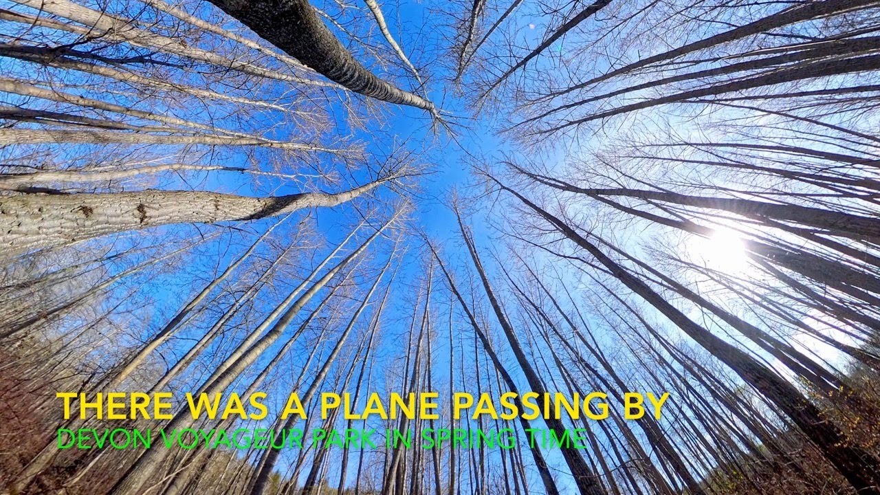 THERE WAS A PLANE PASSING BY ON OUR WAY HOME FROM DEVON VOYAGEUR PARK ...
