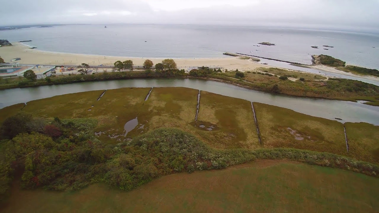 harkness park - YouTube