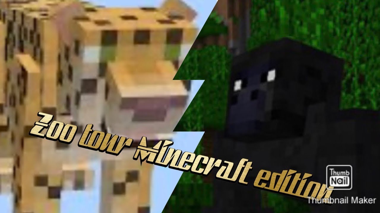 Jungle zoo ep1 minecraft - YouTube