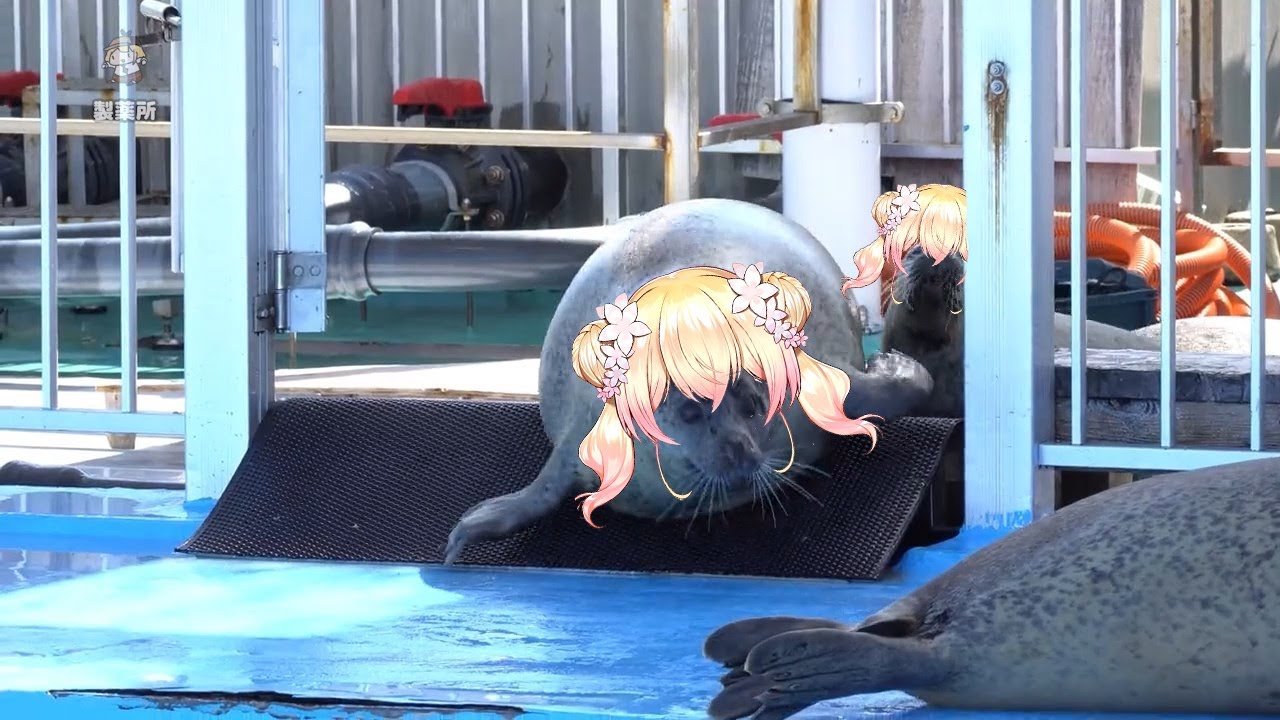 Nene Seals are Returning Home.【桃鈴ねね/MomosuzuNene】 - YouTube