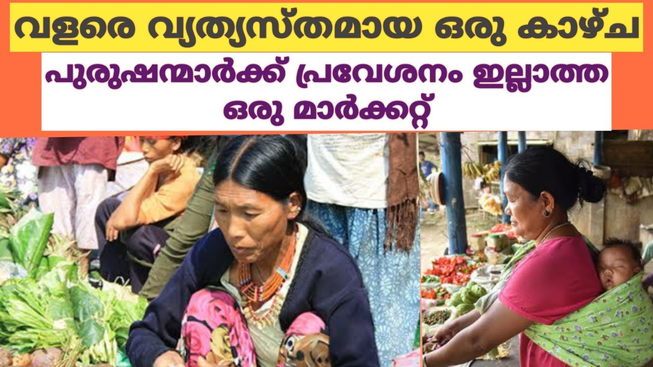 Uncommon Meats are Sold Here|Arunachal Pradesh | marchants only ladies ...