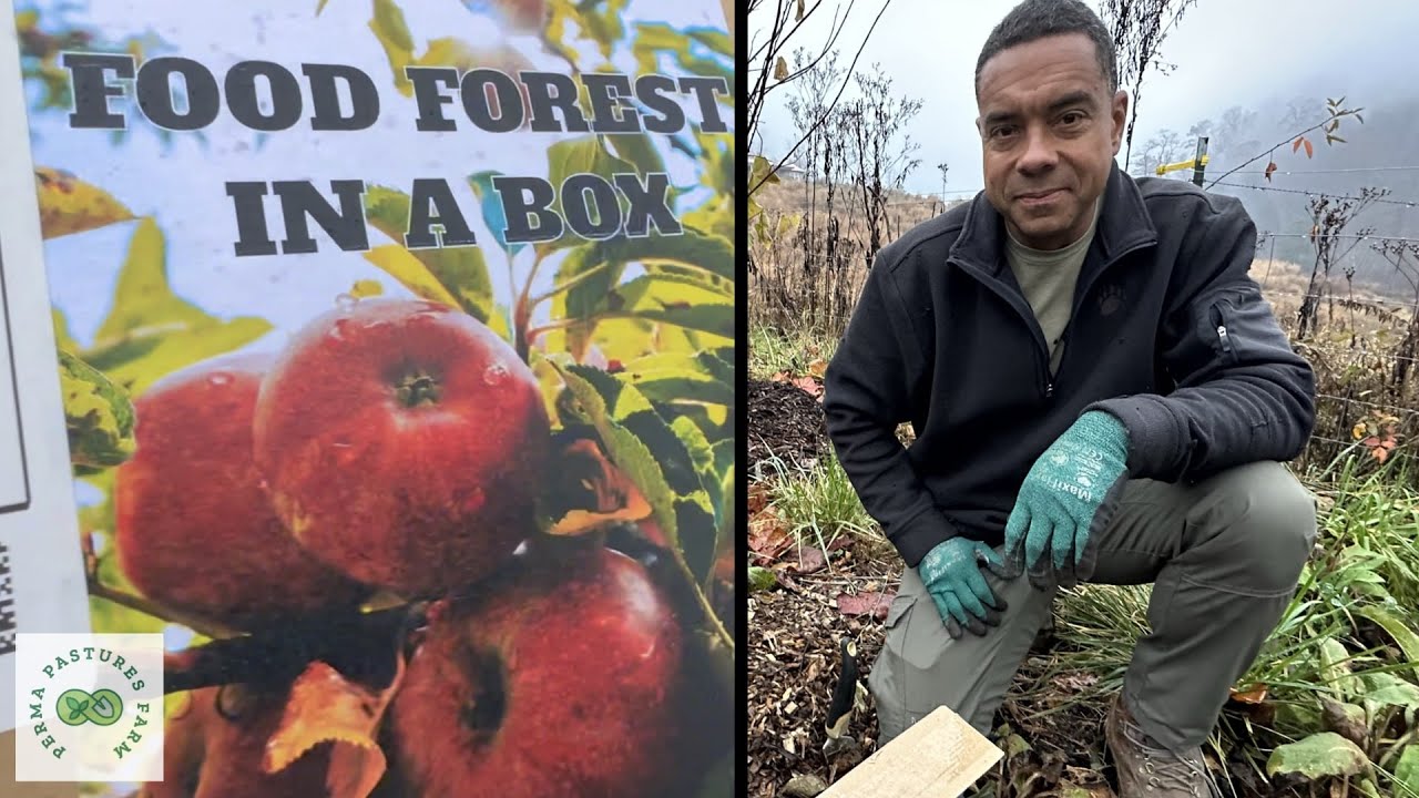 Grow Your Own Food Forest: The Ultimate DIY Kit - YouTube