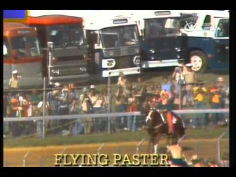 1979 Kentucky Derby - Spectacular Bid - YouTube