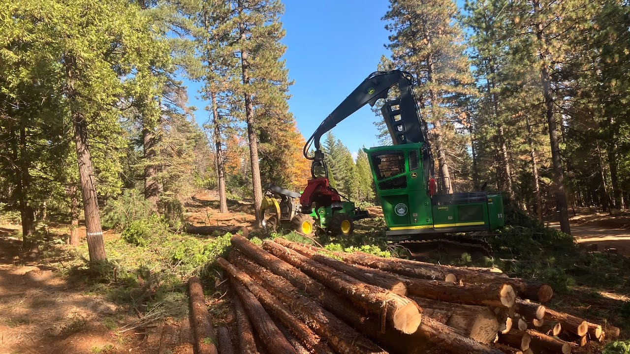 Moving some logs around with the shovel loader - YouTube