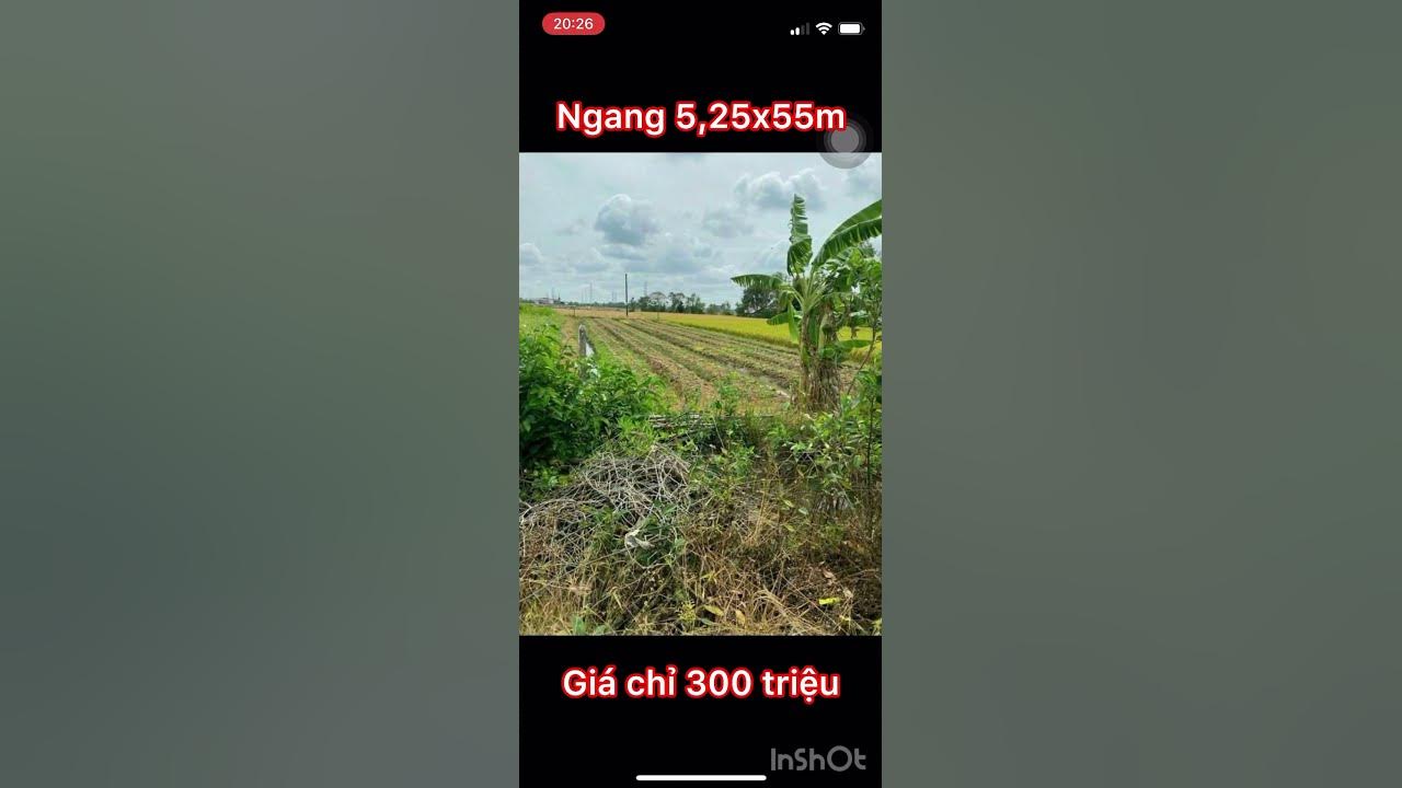 S37 - Chỉ hơn 300 triệu có ngay nền cất nhà thoải mái! #shorts - YouTube