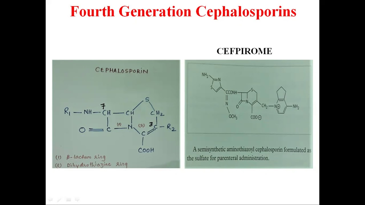 Cephalosporins : 4th, 5th Generations - YouTube
