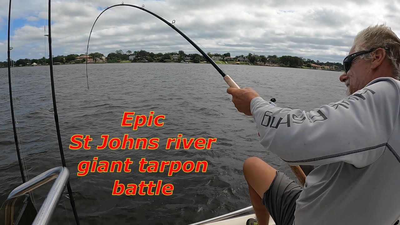 Epic battle with a giant St Johns river tarpon. Blue Cyclone fishing ...