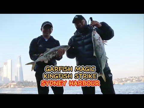 Spinning Garfish for Kingfish in Sydney Harbour - YouTube