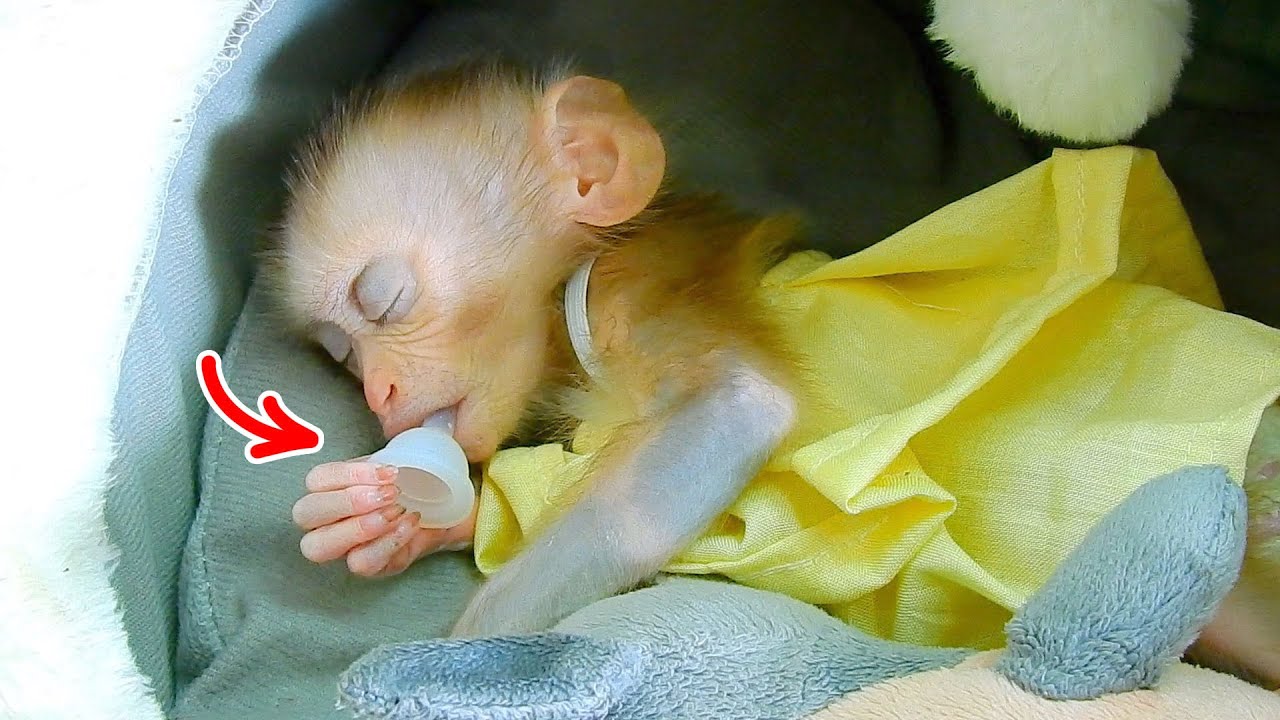 So Glade Cute JULIE Sleep Well With New Small Pacifier. - YouTube