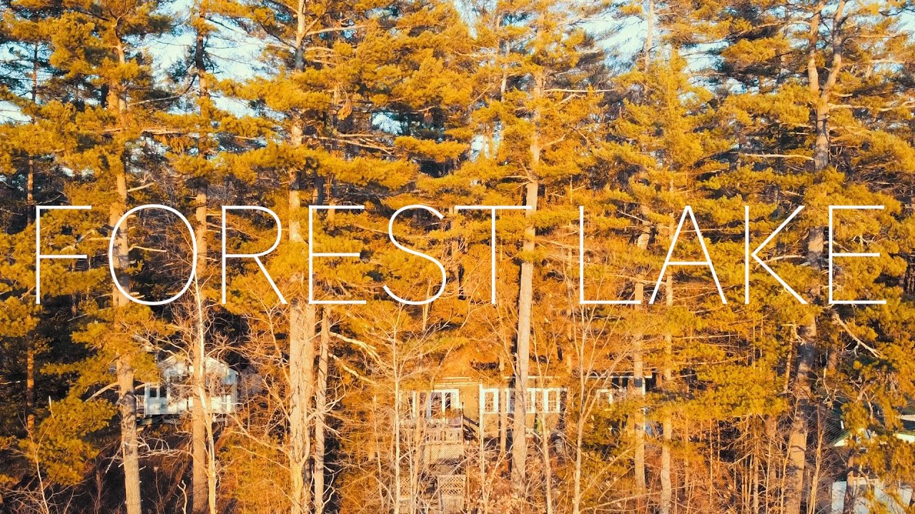 FOREST LAKE NEW HAMPSHIRE - 4.26.20 - YouTube