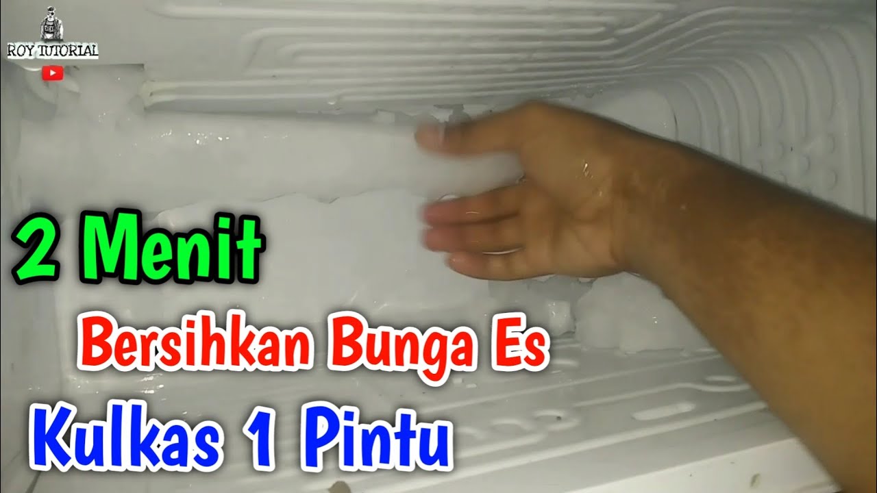 CARA BERSIHKAN BUNGA ES KULKAS 1 PINTU DENGAN CEPAT - YouTube