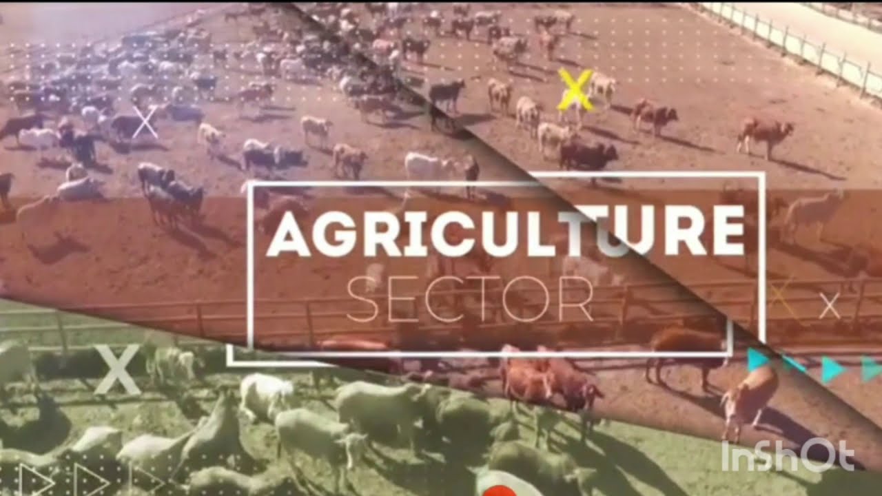 Agriculture in Botswana #agriculture #forming - YouTube