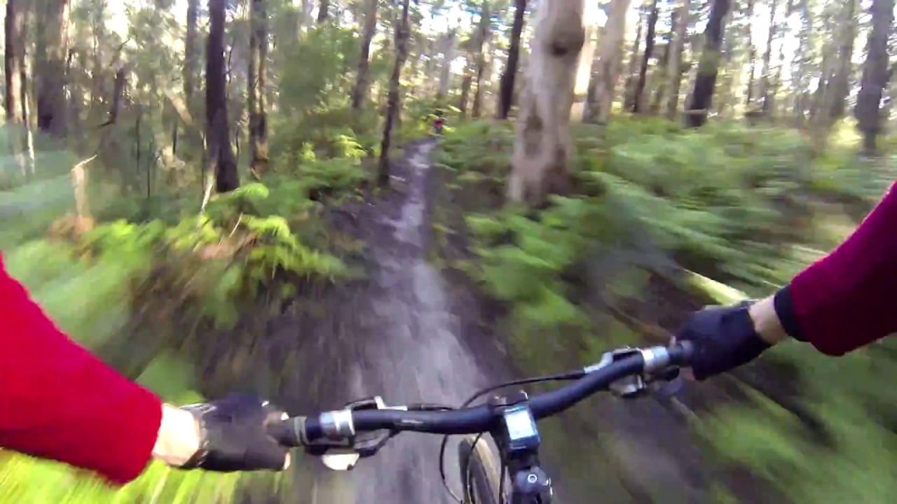 Forrest MTB Trails, Australia (July 2017) - YouTube