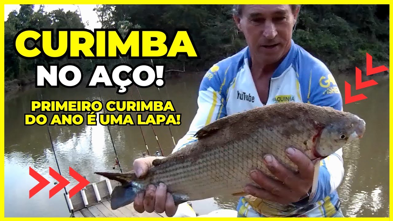 SAIU O PRIMEIRO CURIMBA DO ANO!!!! - YouTube