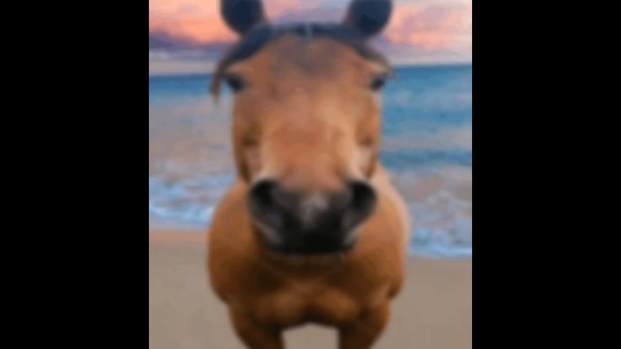 Grinding peach state mud park on an alt - YouTube