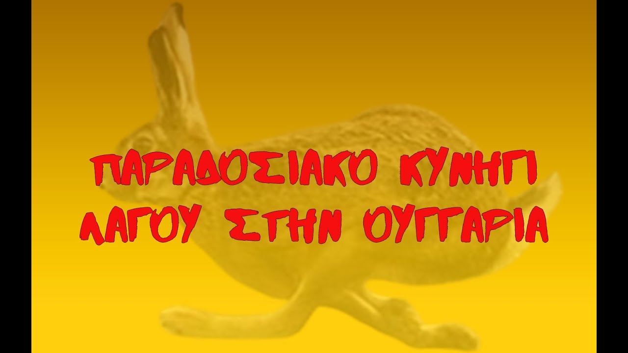 ΠΑΡΑΔΟΣΙΑΚΟ ΚΥΝΗΓΙ ΛΑΓΟΥ ΣΤΗΝ ΟΥΓΓΑΡΙΑ - YouTube