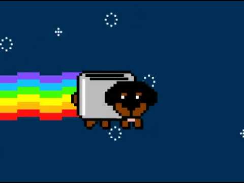 Toaster Puppy - YouTube