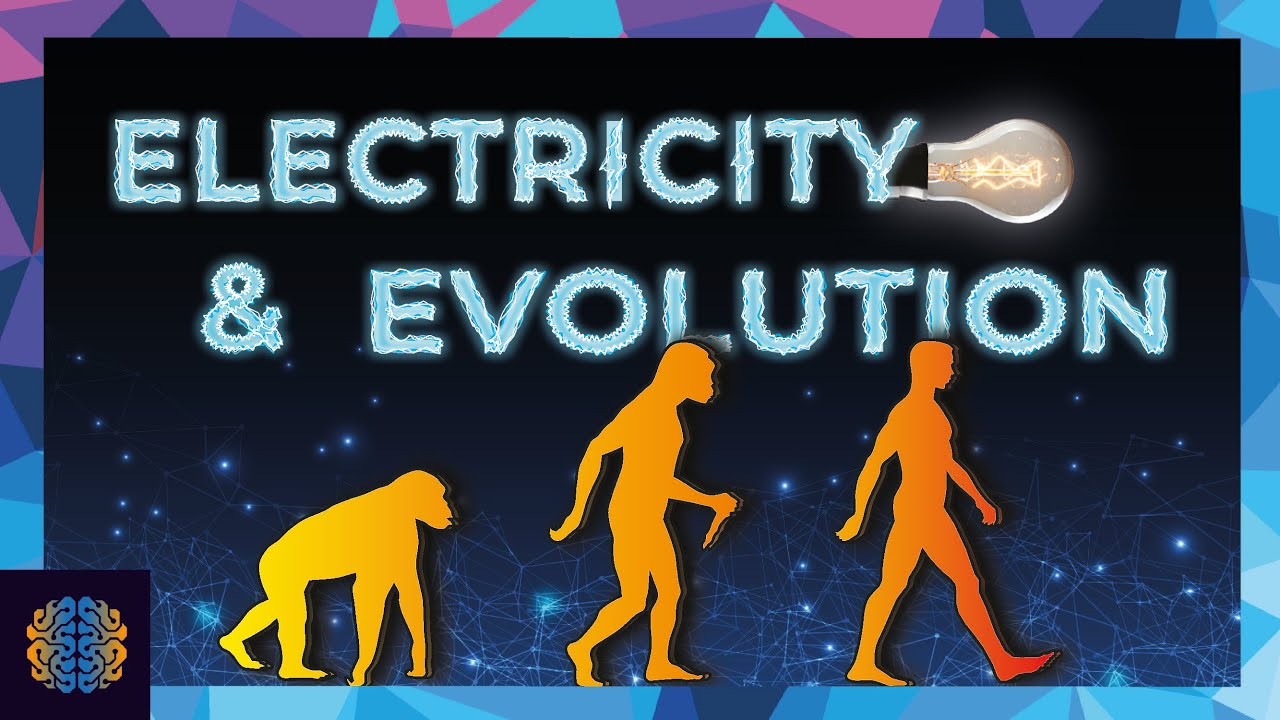 How Evolution and Electricity Improved Brain Science - YouTube