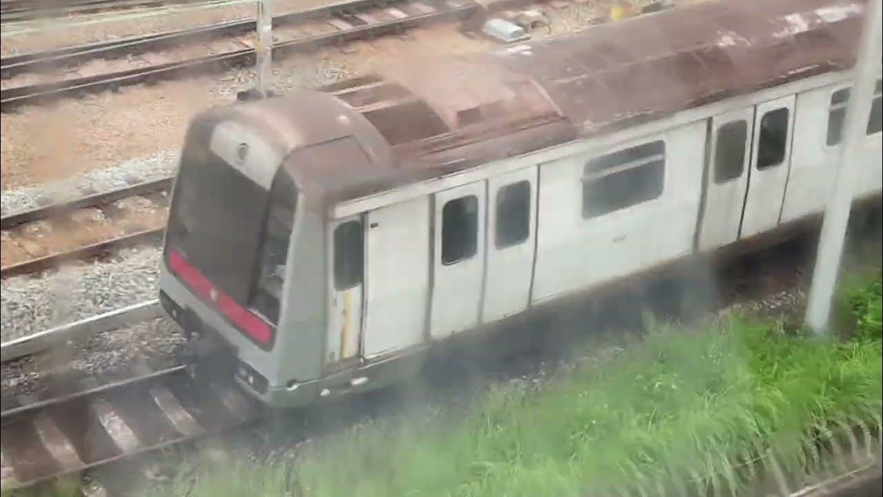 (代替大修C而出現綠Mx巧遇2B廠內晒太陽) MTR KTL M-Train A243/A244 (C460) TIK → WTS - YouTube