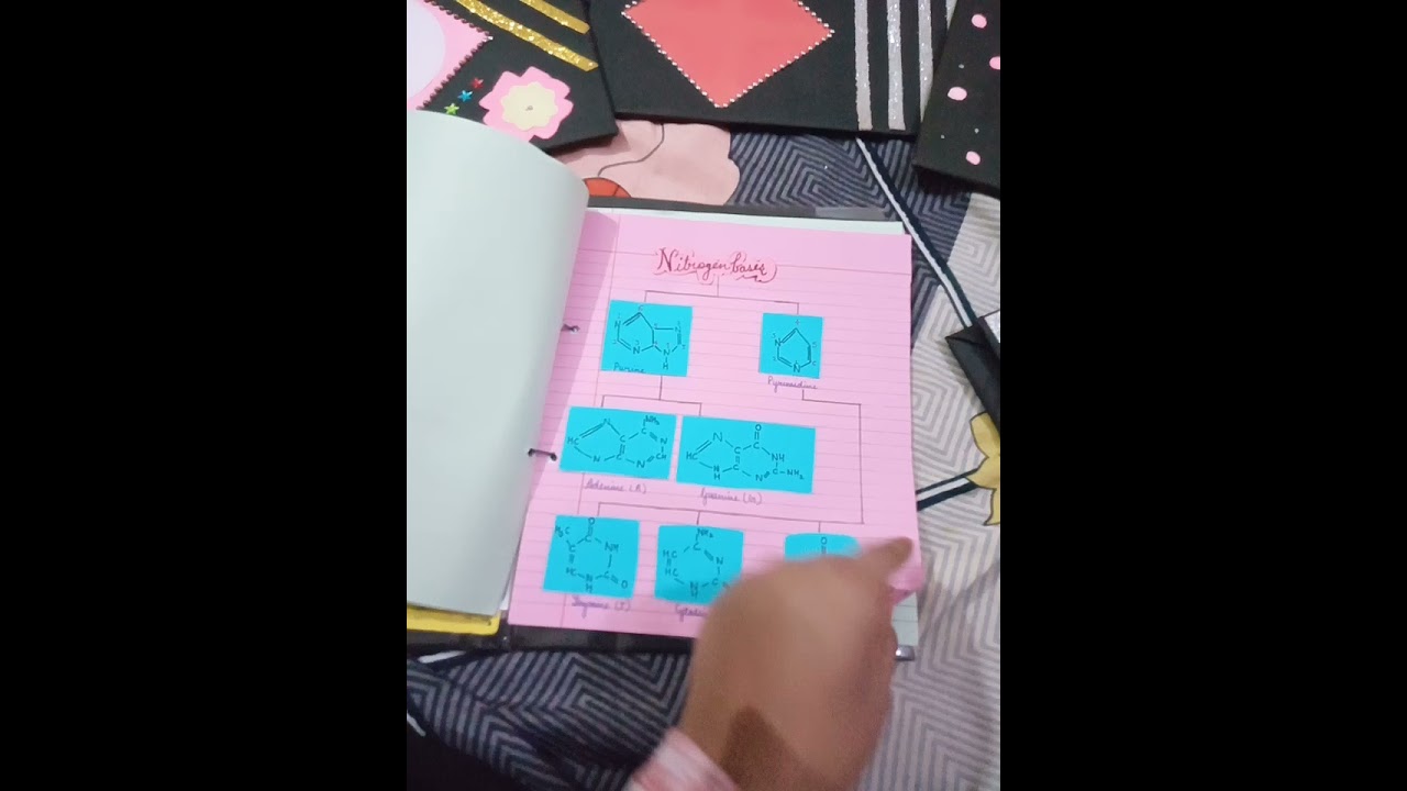 Chemistry project// ISC // Nucleic acid //class 12😍😇 - YouTube