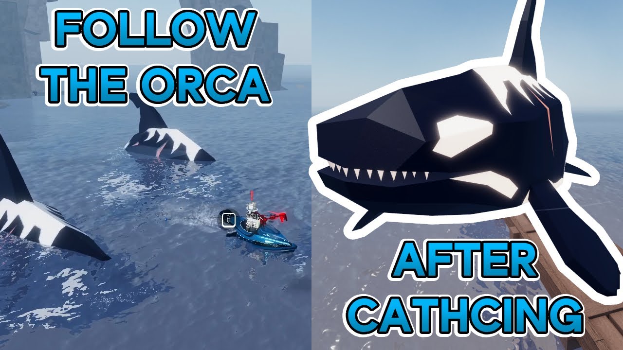 HOW TO CATCH THE ORCA in Roblox Fisch - YouTube