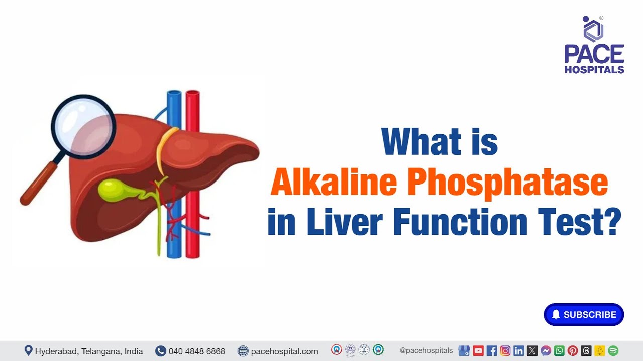 Alkaline Phosphatase | What is Alkaline Phosphatase in Liver Function ...