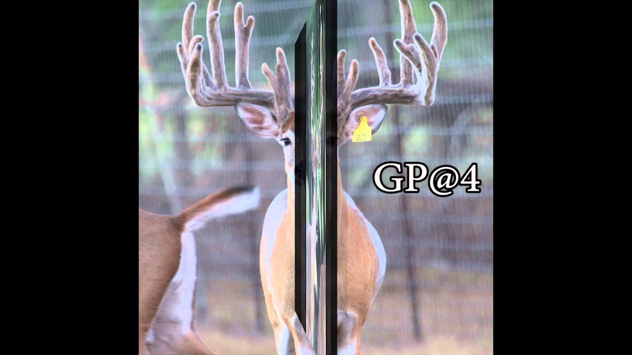 Lonehollow Gladiator Contest - YouTube