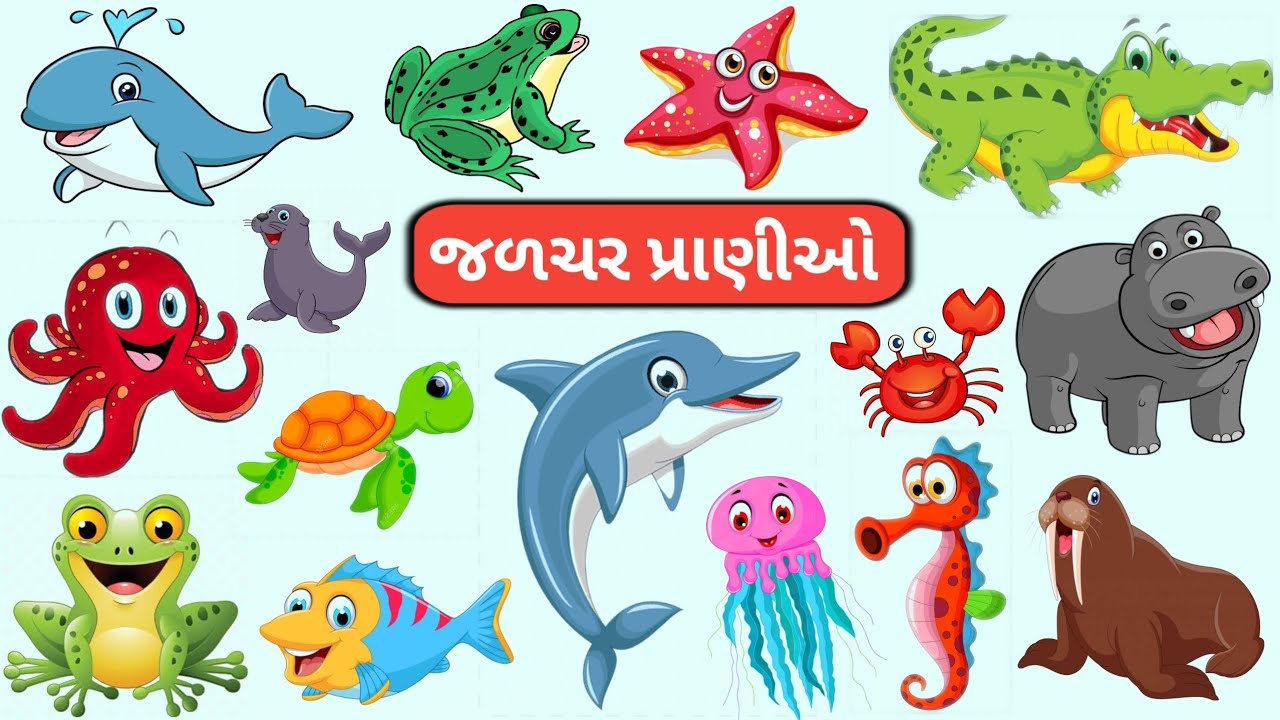 જળચર પ્રાણીઓ ના નામ | પાણીમાં રહેતા પ્રાણીઓ ના નામ | water animals name ...