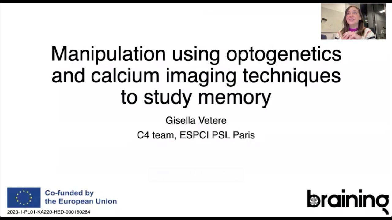 Manipulation using optogenetics and calcium imaging techniques to study ...