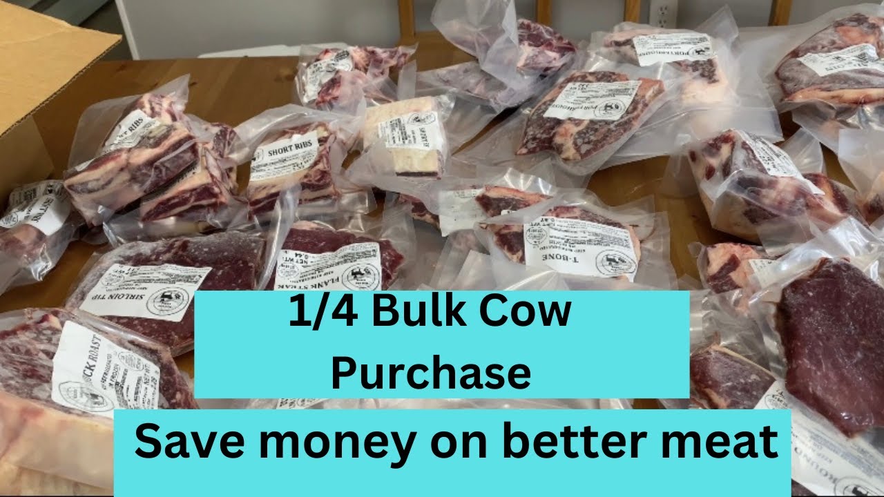 1/4 Cow Bulk Beef Purchase - YouTube