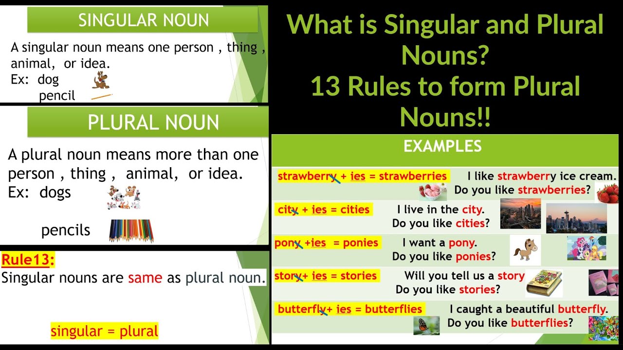 What is Singular & Plural Nouns || 13 Rules to form Plural Nouns ...