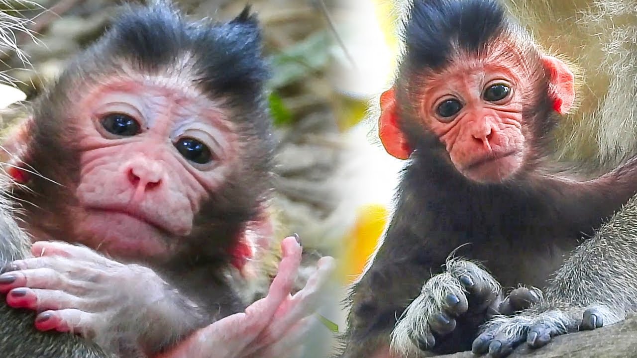 Wow..! very cute baby Mario open eyes so big - YouTube