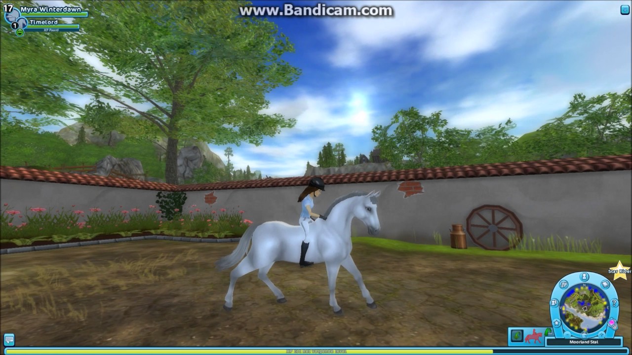 SSO - Buying a Hanoverian Horse - YouTube