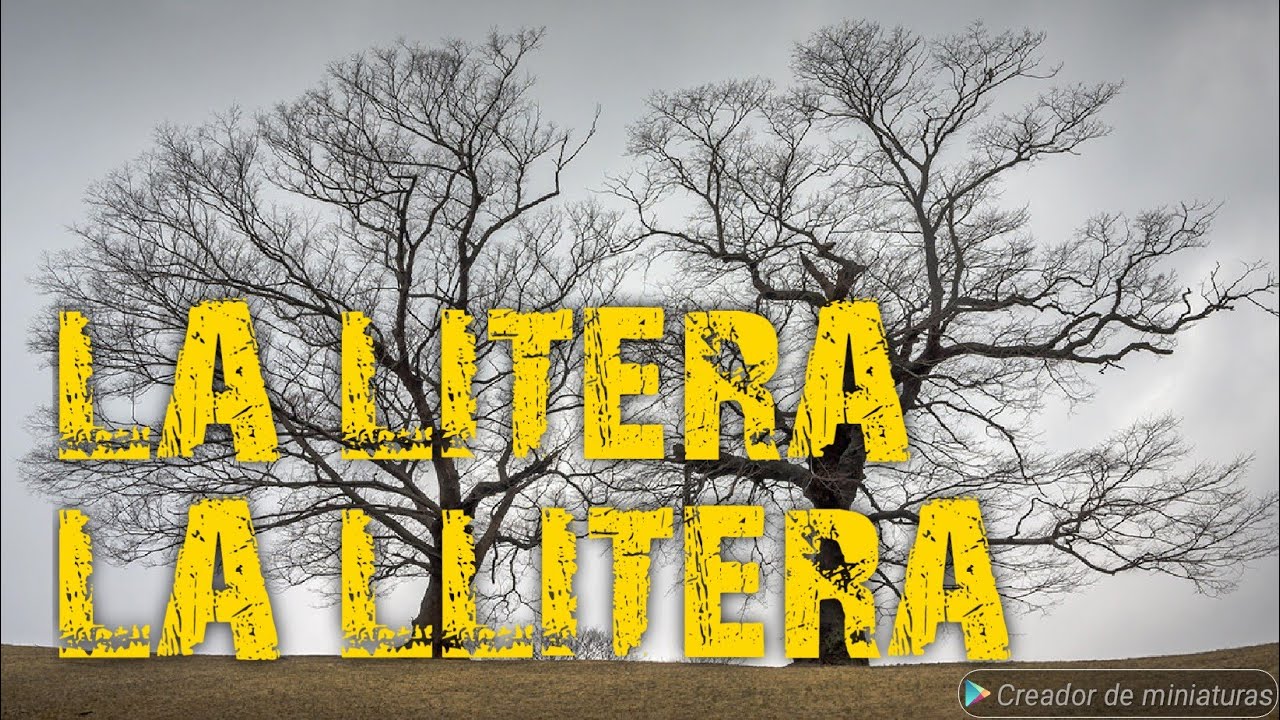 LA LITERA / LA LLITERA - YouTube