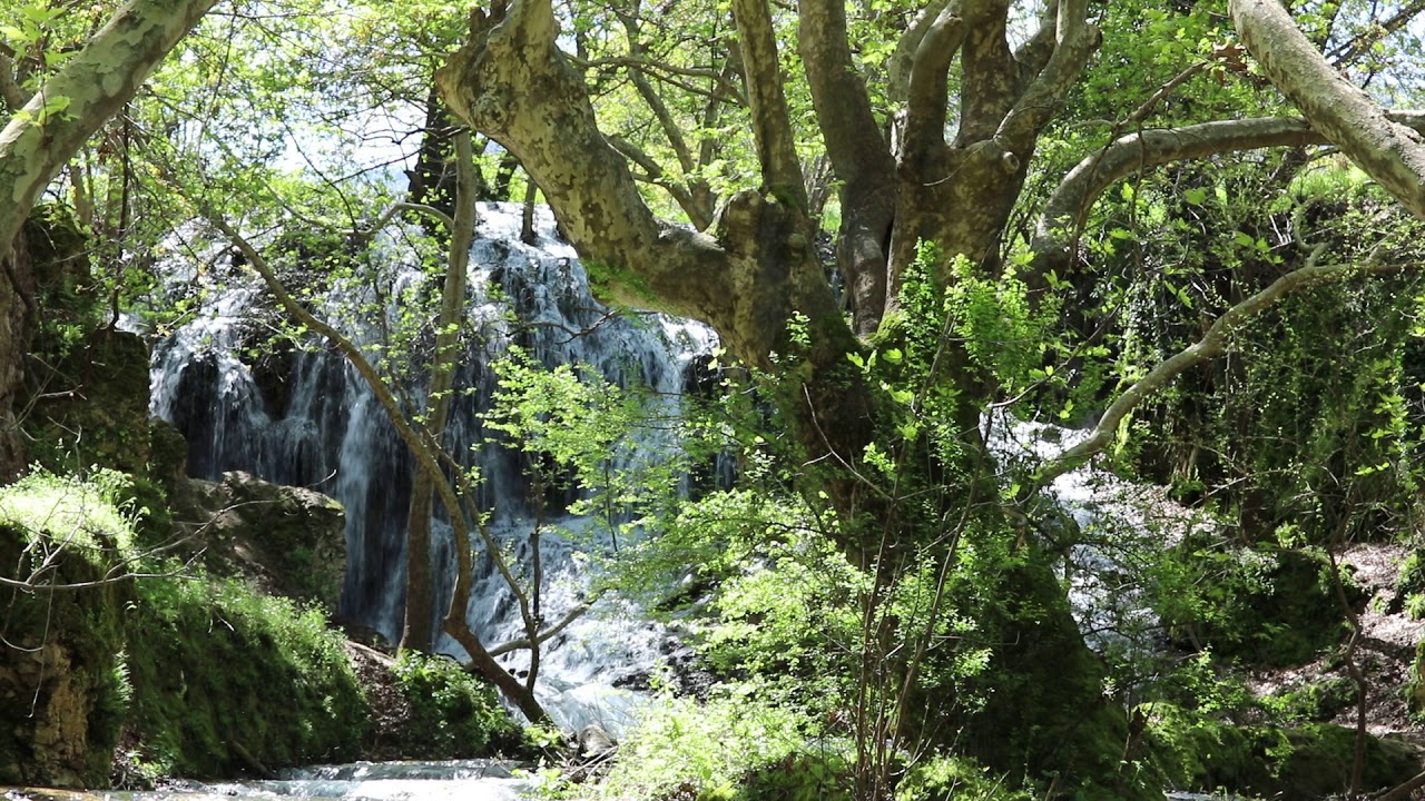 Nature Of barzan - YouTube