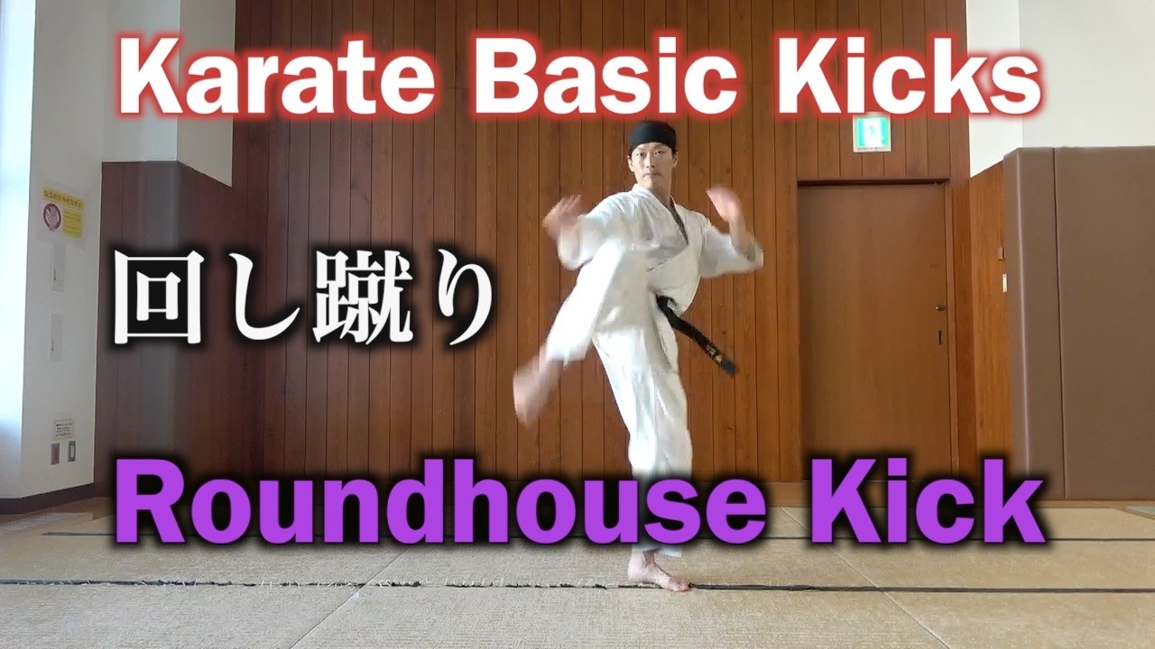 Karate Basic Kicks: roundhouse kick(mawashi-geri) by the Japanese ...