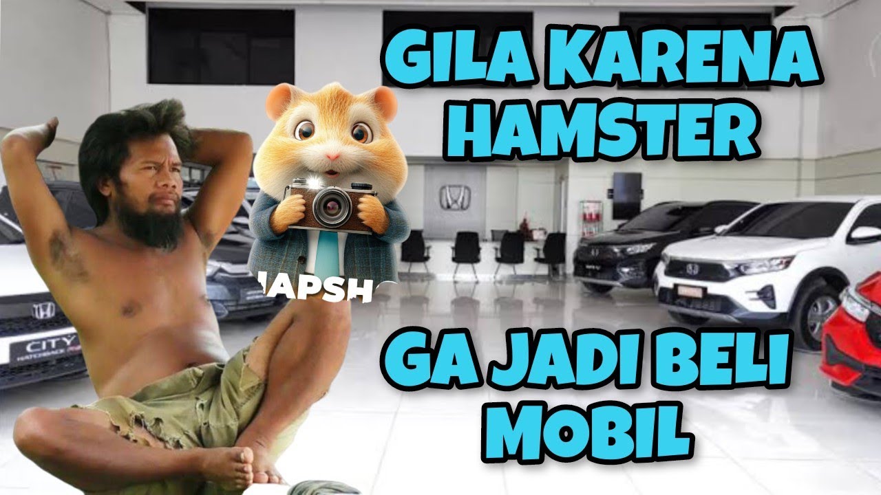 STOP BULLY HAMSTER !!! GAGAL JP GAGAL BELI MOBIL - YouTube