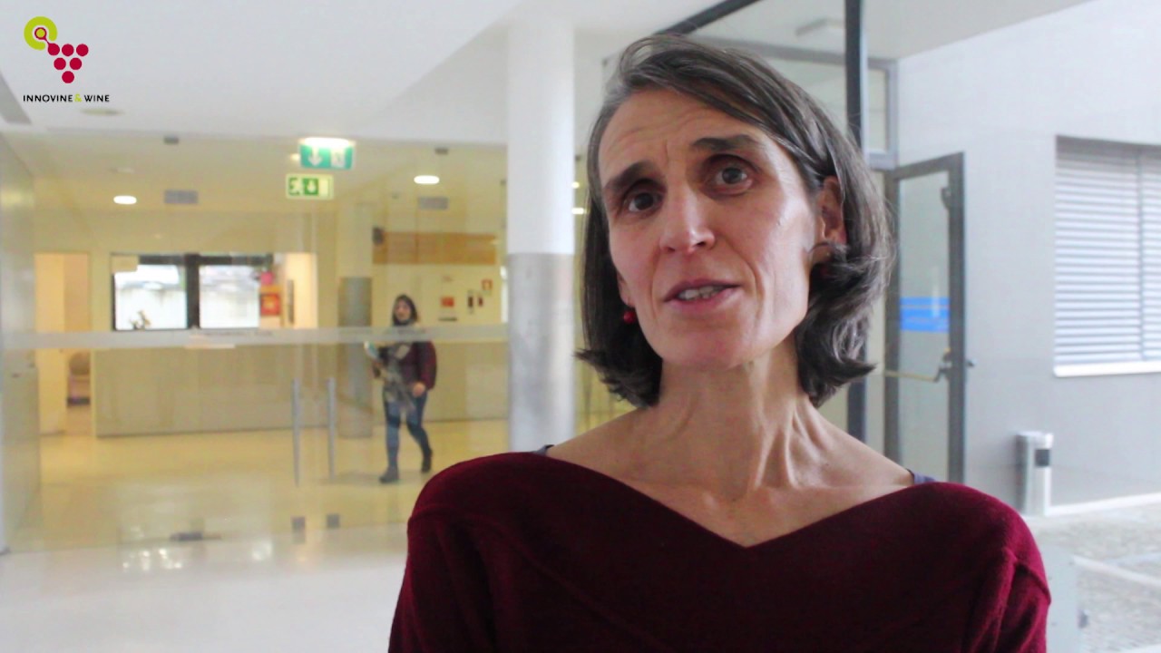 Marta Roboredo | UTAD | Plataforma de Inovação da Vinha e do Vinho ...